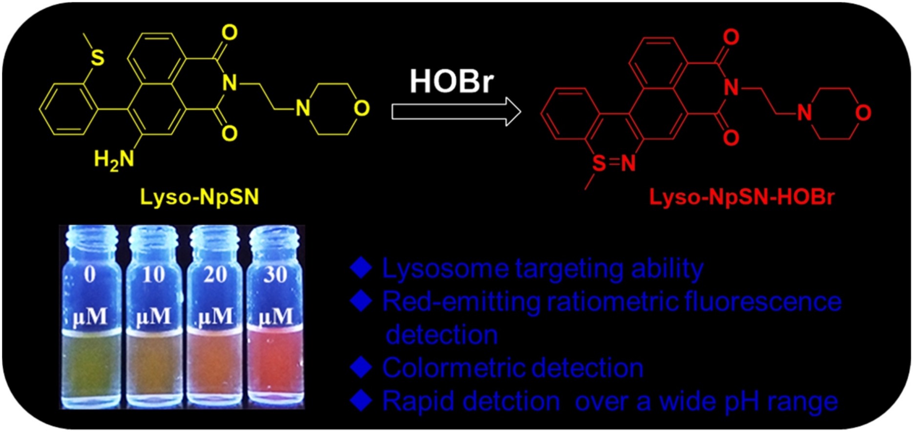 Lysosome-targetable red-emitting ratiometric fluorescent probe for ...