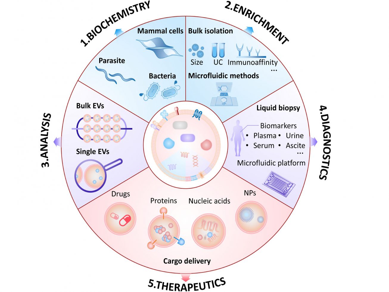 Journal Articles – 功能材料与分子影像技术创新
