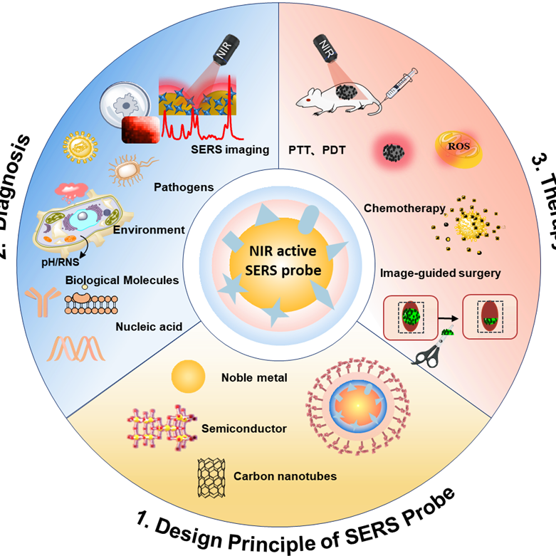 Emergence of Surface-enhanced Raman Scattering (SERS) probes in near ...