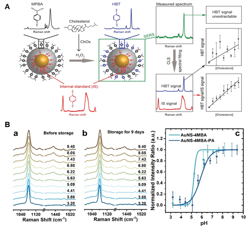 Emergence of Surface-enhanced Raman Scattering (SERS) probes in near ...