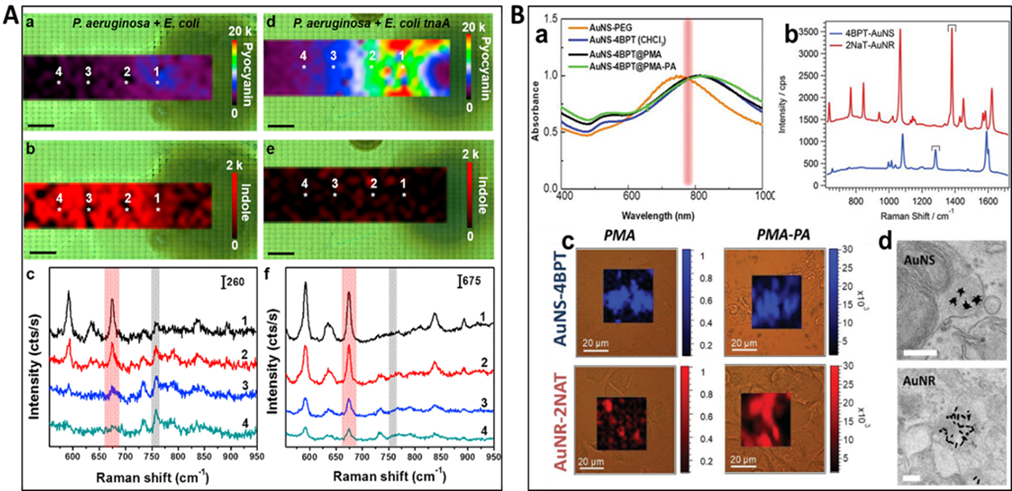 Emergence of Surface-enhanced Raman Scattering (SERS) probes in near ...