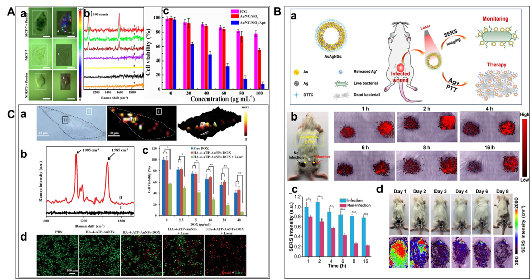 Emergence of Surface-enhanced Raman Scattering (SERS) probes in near ...