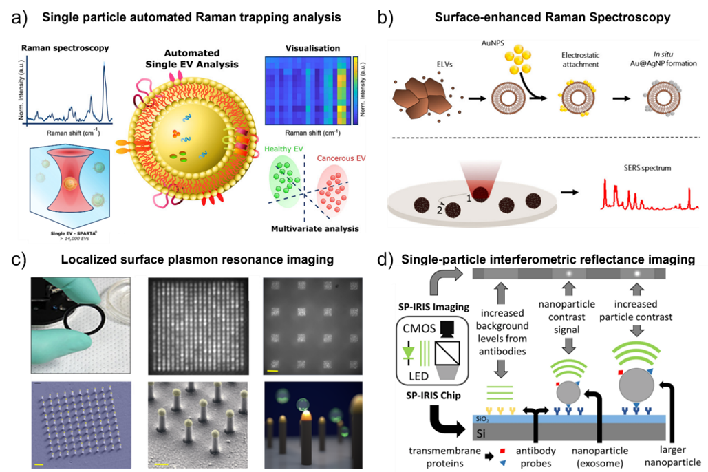 Analysis of Single Extracellular Vesicles for Biomedical Applications ...