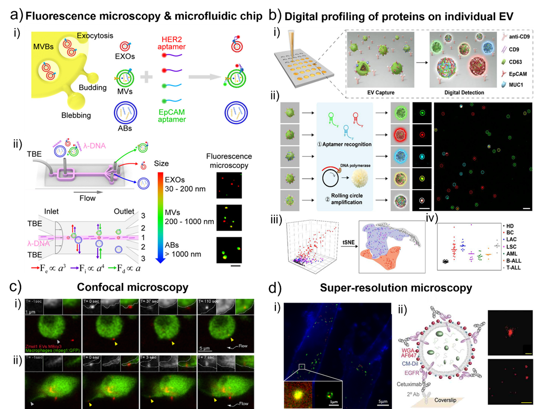 Analysis of Single Extracellular Vesicles for Biomedical Applications ...