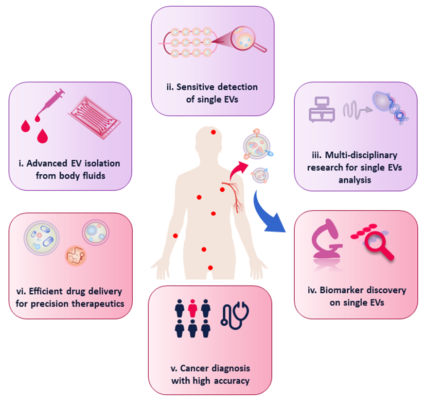 Analysis of Single Extracellular Vesicles for Biomedical Applications ...