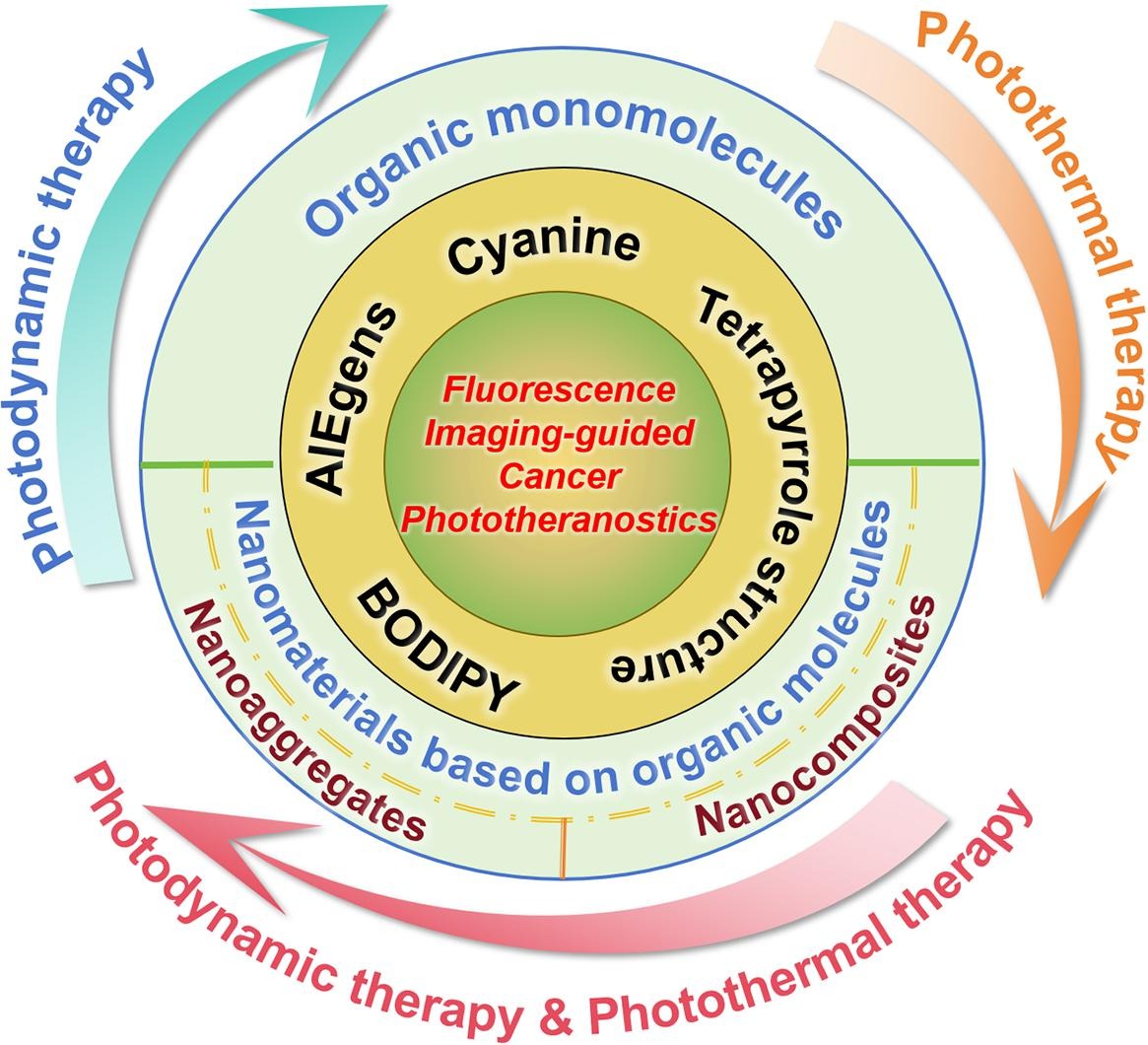 Organic Dye Based Photosensitizers For Fluorescence Imaging Guided Cancer Phototheranostics